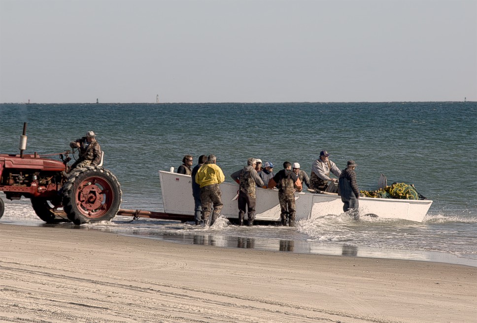 "When the Mullet Run" | Coastal Review