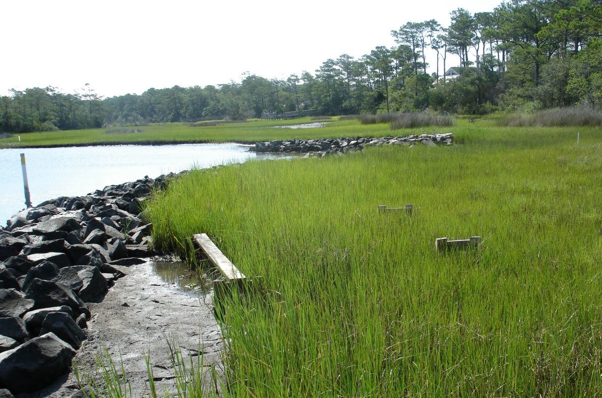 App Offers Guidance On Living Shorelines | Coastal Review