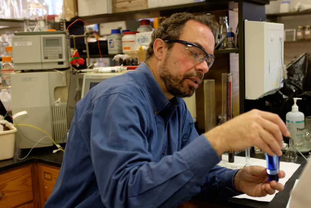 Federation Set to Honor Coastal Stewards | Coastal Review