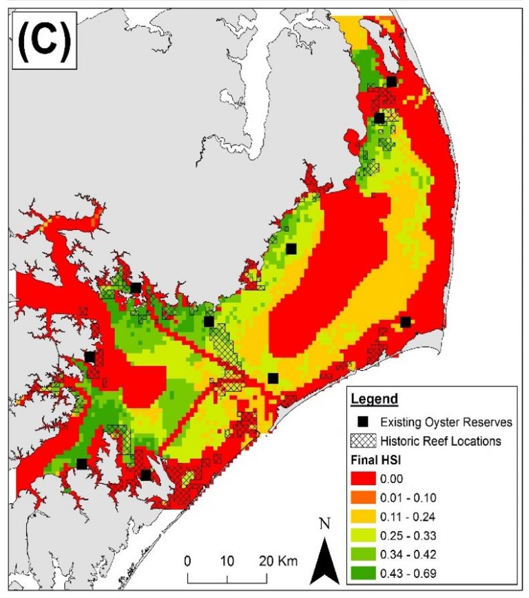 New Tool Makes Oyster Restoration Easier | Coastal Review