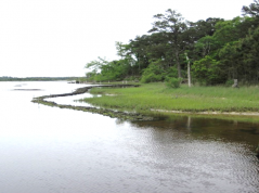 Marsh Sills General Permit Now Available | Coastal Review