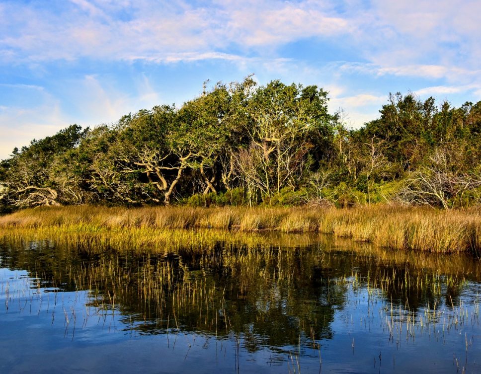 Bogue Sound Shoreline Project Gets Funding | Coastal Review