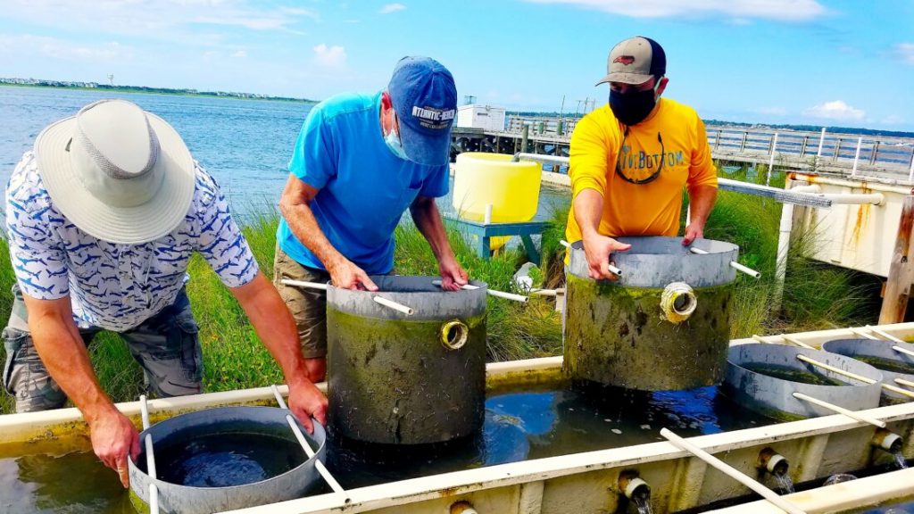 New Academy Serves NC Shellfish Farmers | Coastal Review