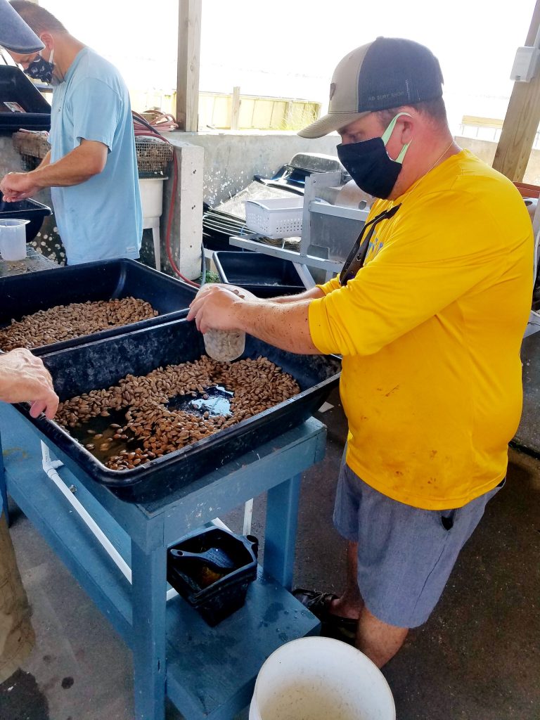 New Academy Serves NC Shellfish Farmers | Coastal Review