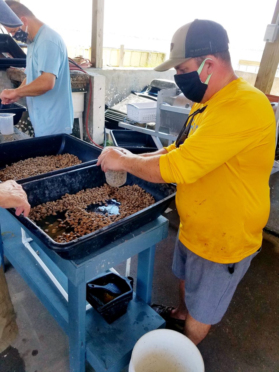 New Academy Serves NC Shellfish Farmers | Coastal Review