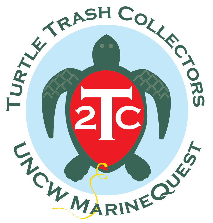 Turtle Trash Collectors Adapt to COVID-19 | Coastal Review