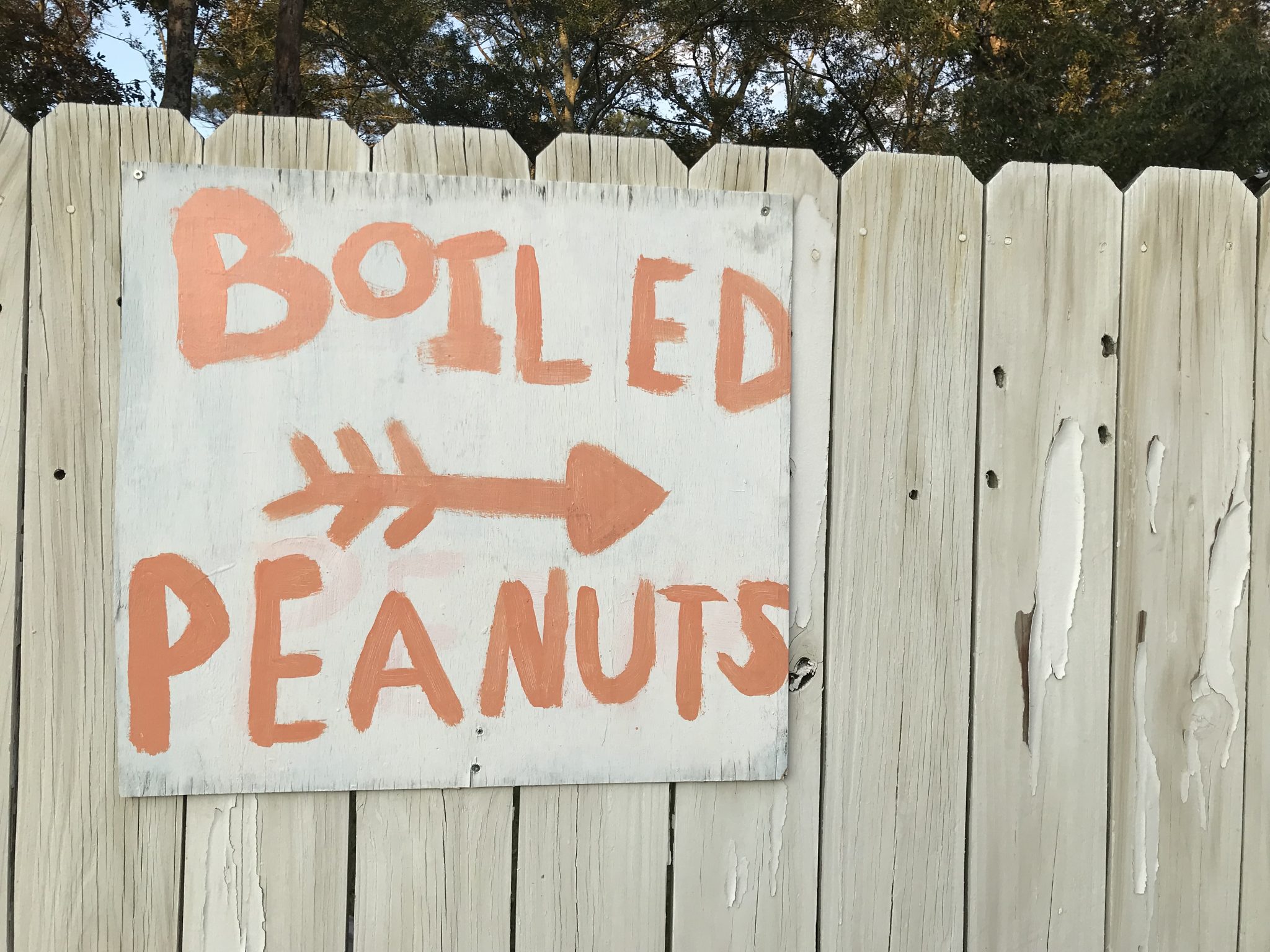Boiled Peanuts A Fall Favorite in Carolinas | Coastal Review