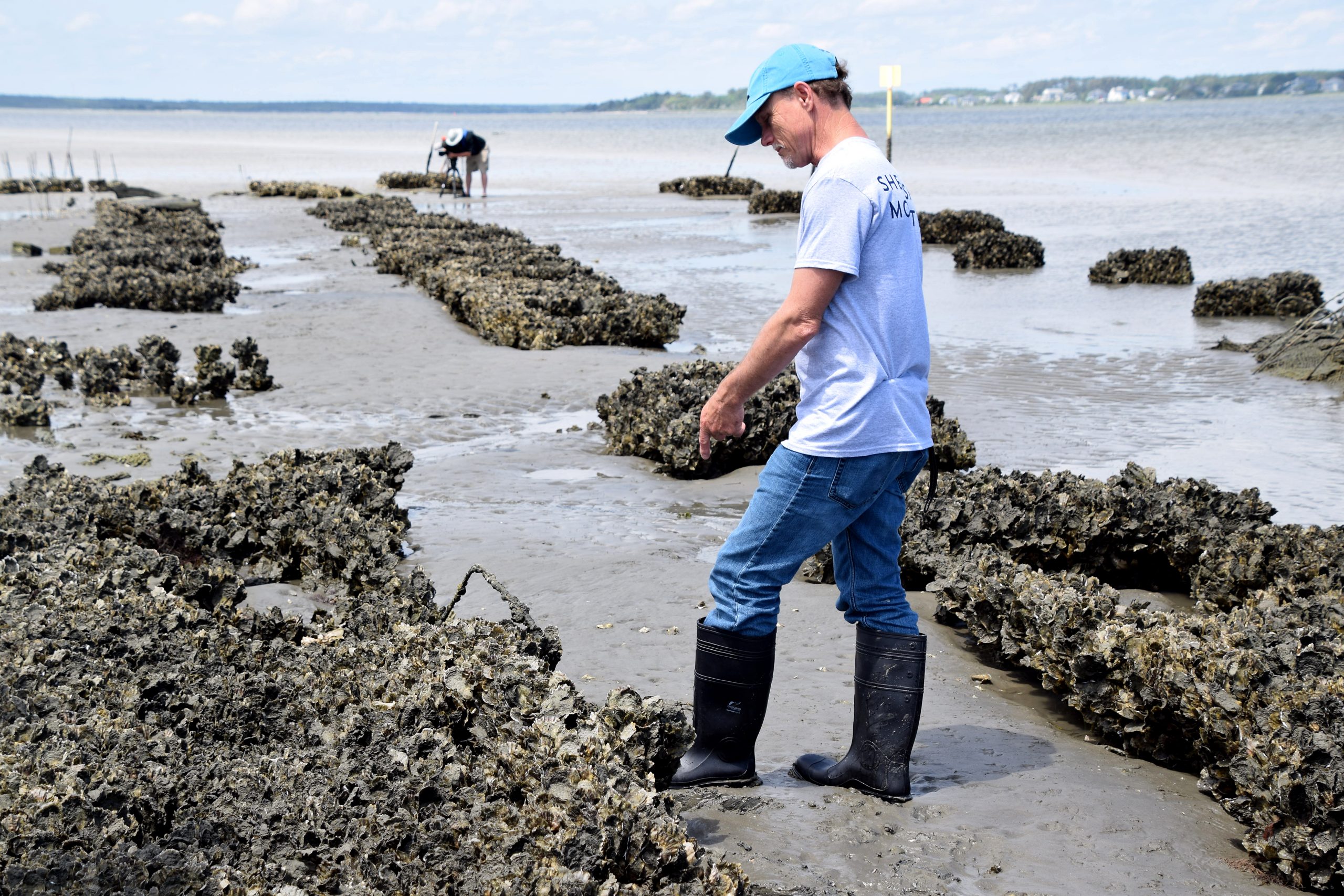 New Shellfish Permit Geared for Restoration | Coastal Review