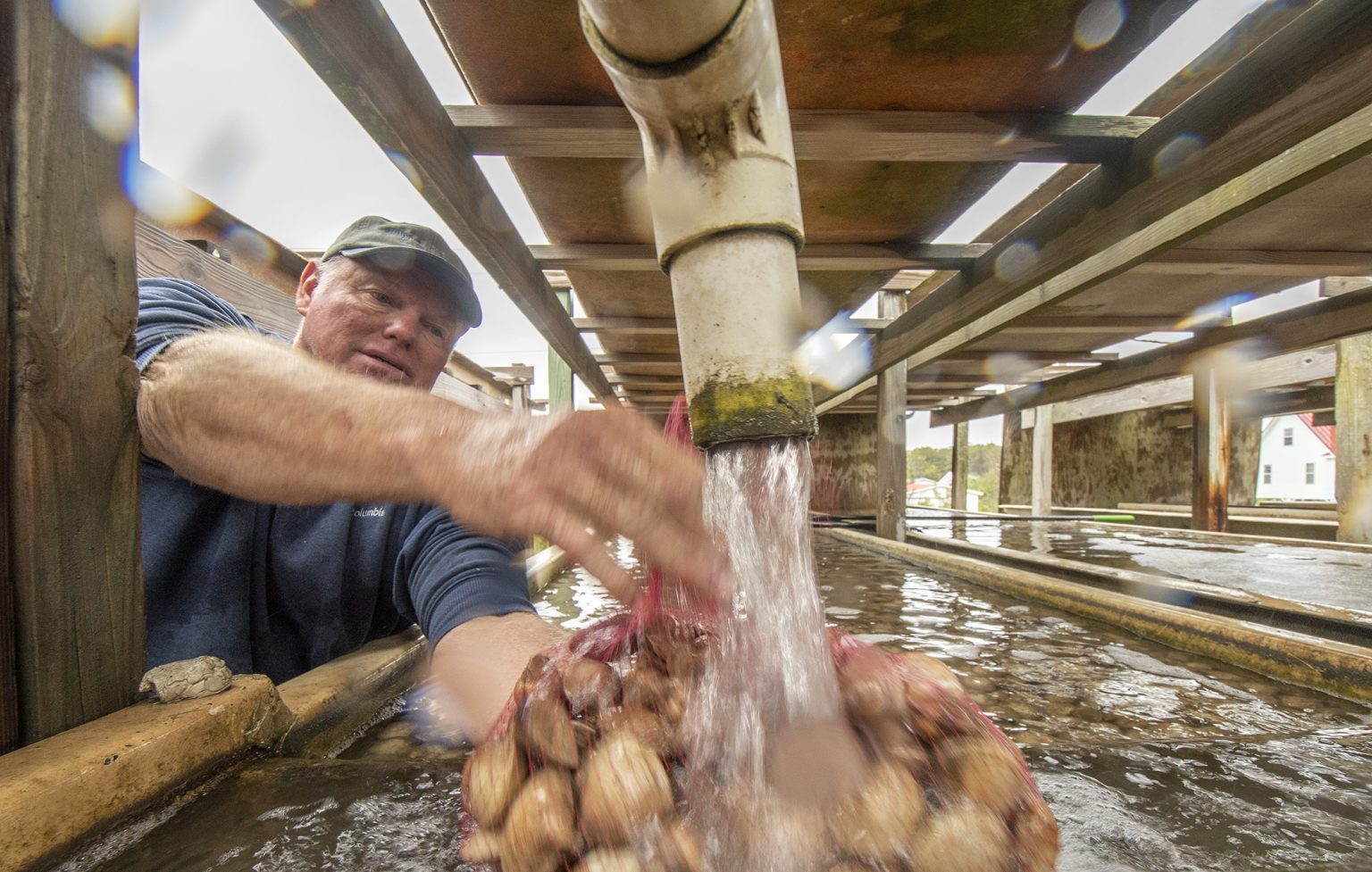Shellfish hatchery owner vows to rebuild after recent blaze | Coastal ...