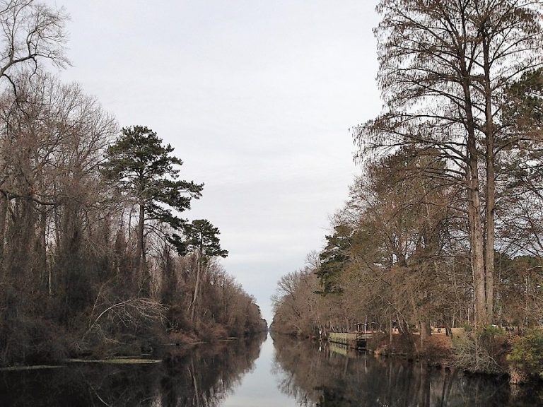 Camden's history, economy rooted in Great Dismal Swamp | Coastal Review