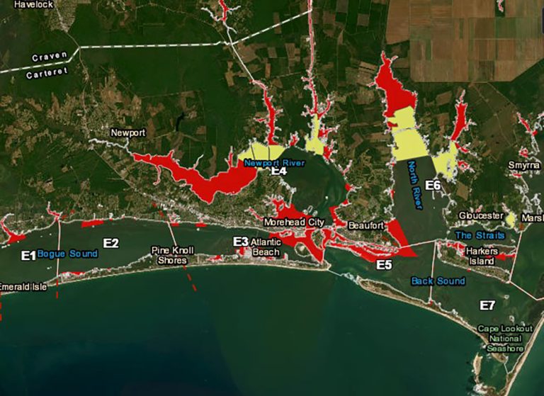 Temporary shellfish closures announced in Carteret County | Coastal Review