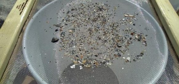 Foam from damaged docks leads to microplastics: Report | Coastal Review