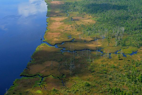 Cape Fear River Watch to host 'State of the River' forum | Coastal Review