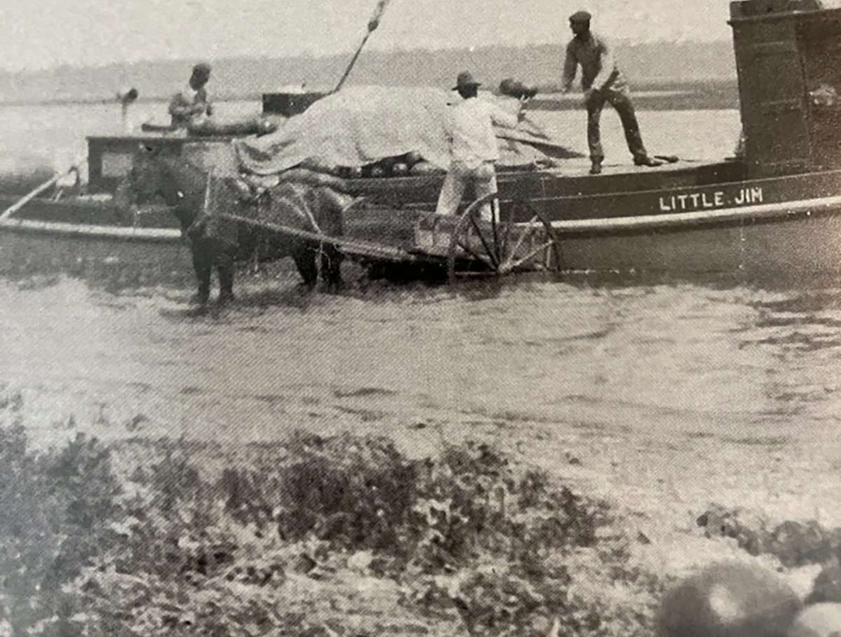 At the Boundary between Land and Sea: Coastal life in 1909 | Coastal Review