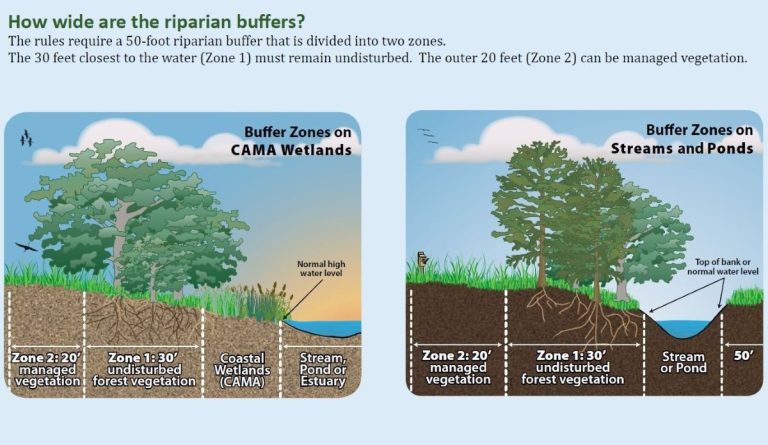 Analysis: Farm Act axes motive to protect shoreline trees | Coastal Review