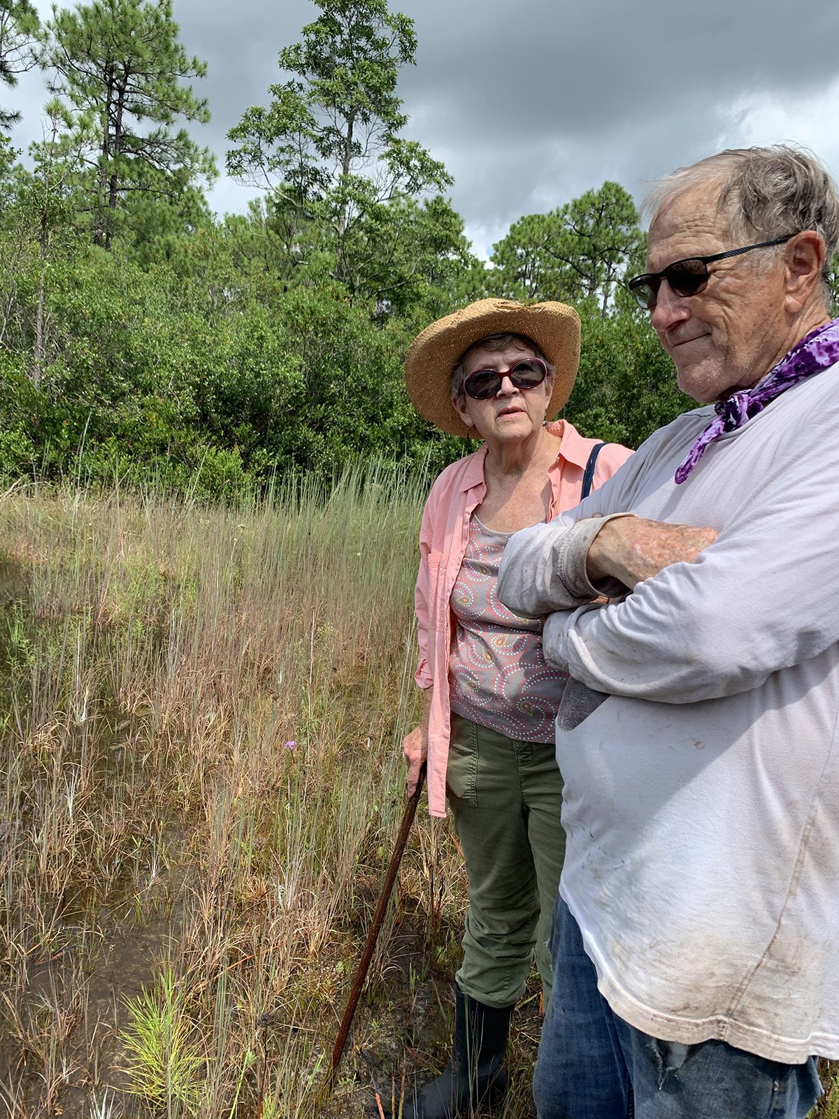 Volunteers help remove Venus flytraps from harm's way | Coastal Review