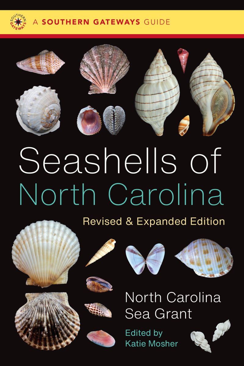 Conchologists expand, revise popular seashell field guide | Coastal Review