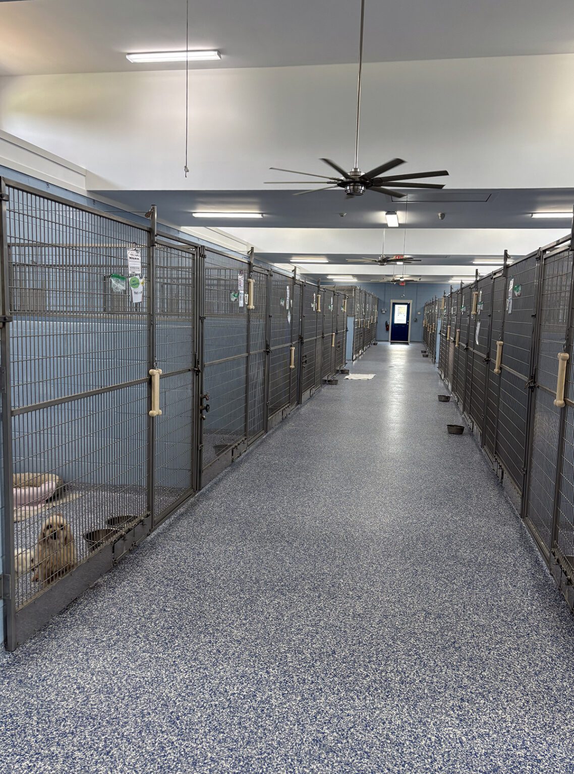 As Brunswick building booms, existing residents see effects | Coastal ...