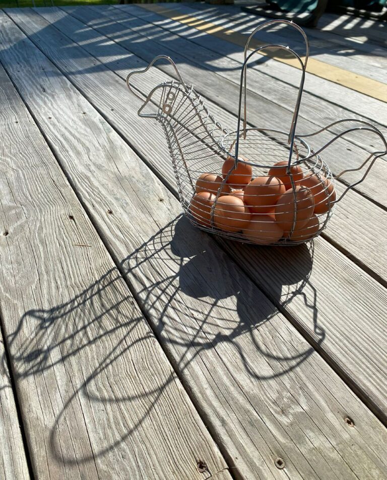 'Egg drop challenge' launches 'egg-cellent' questions | Coastal Review