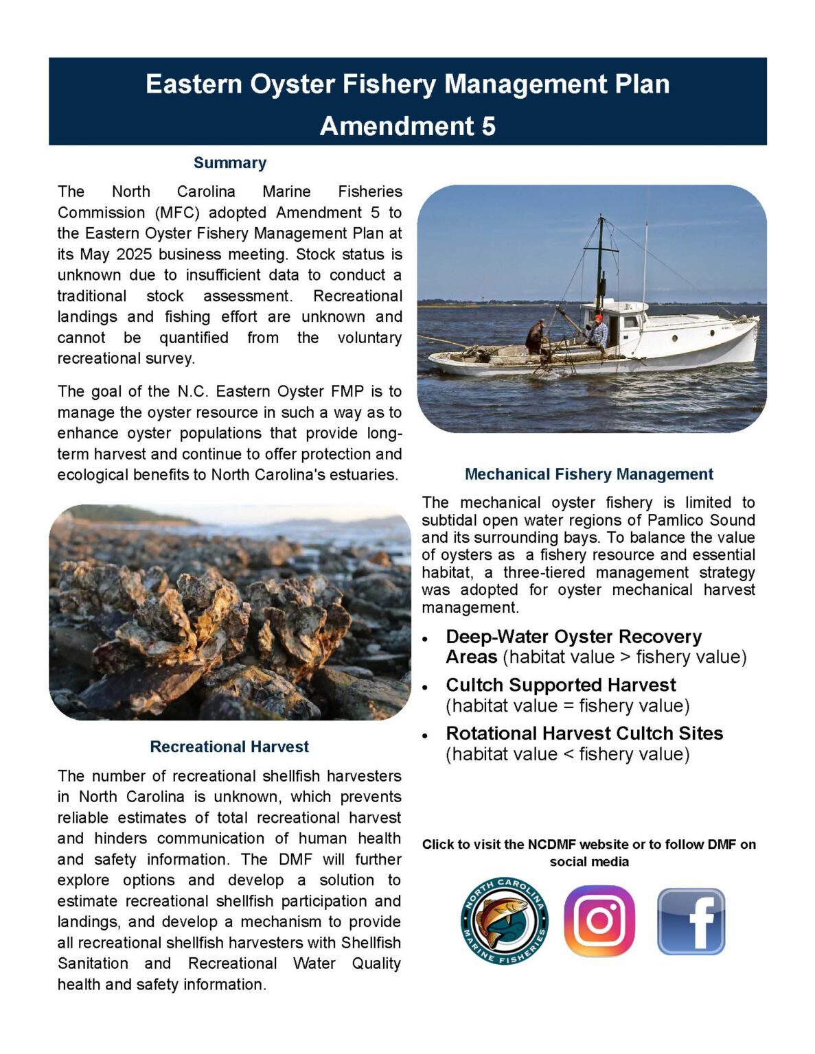 Flyers detail recent oyster, clam management changes | Coastal Review