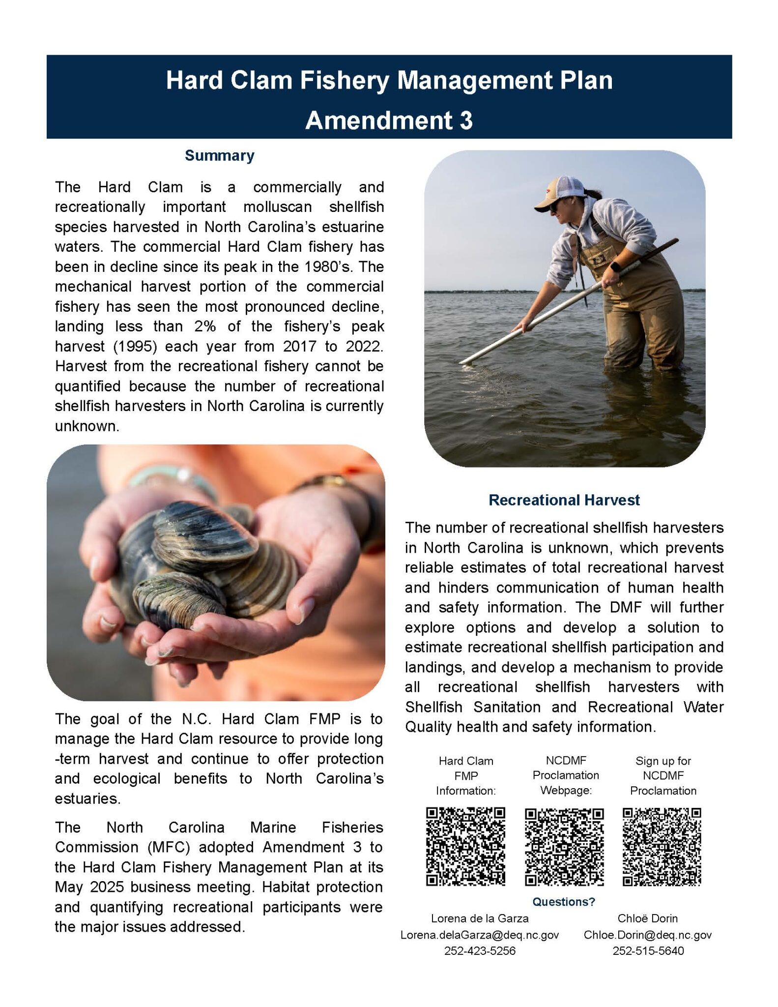 Flyers detail recent oyster, clam management changes | Coastal Review