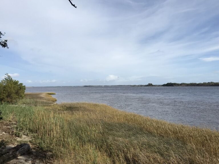 State receives grant for archaeology study at Brunswick Town | Coastal ...