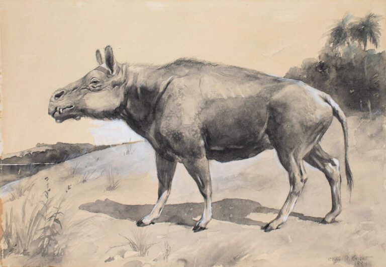 Coastal North Carolina's fossil record reveals giant 'hell pigs ...