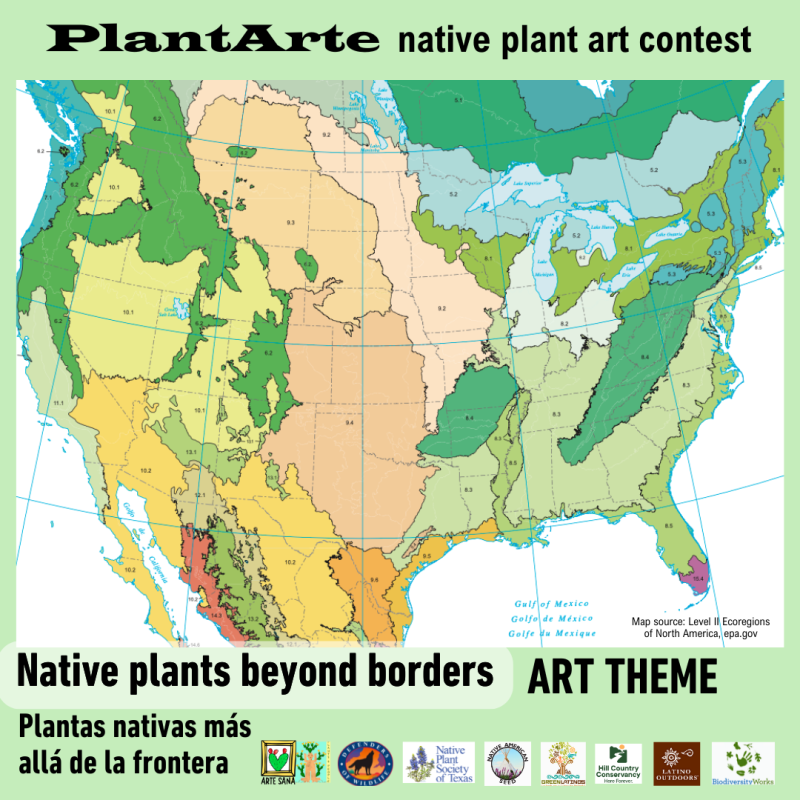 Native plant art contest open to artists of all experience levels ...