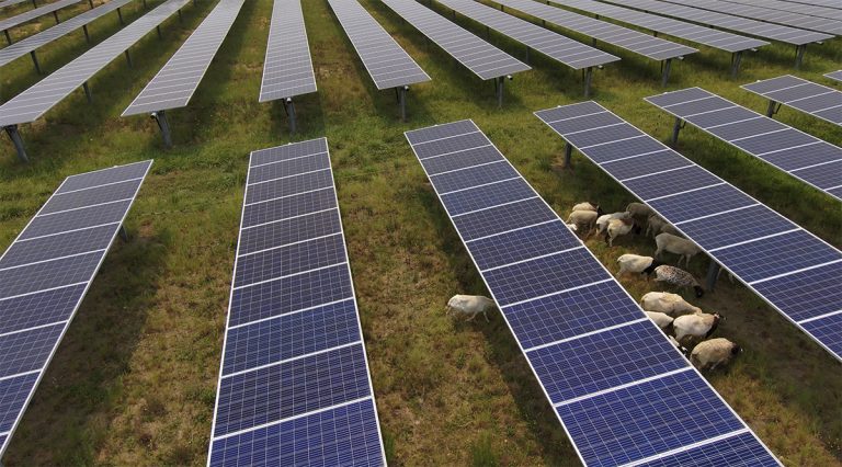'Too soon' to see NC's effects from a NextEra-Dominion deal | Coastal ...